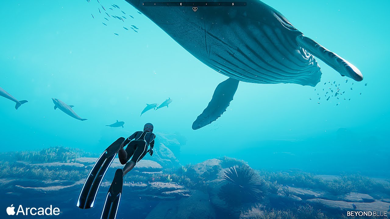 Beyond Blue - iOS (Apple Arcade) Gameplay - YouTube