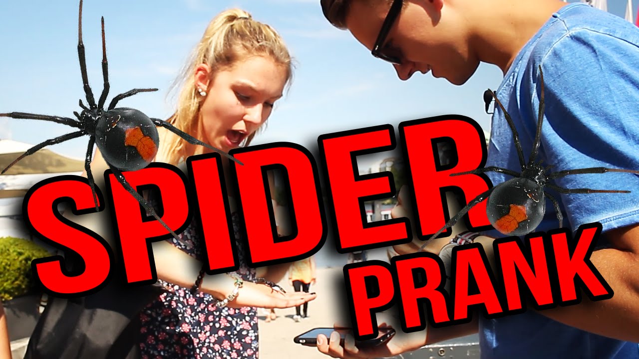 CELL PHONE SPIDER PRANK - IPad / IPhone Spinnen Trick | Smartphone ...
