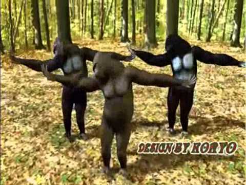 Dügün dernek filmi. https://www.facebook.Muzaffer.doğmuş