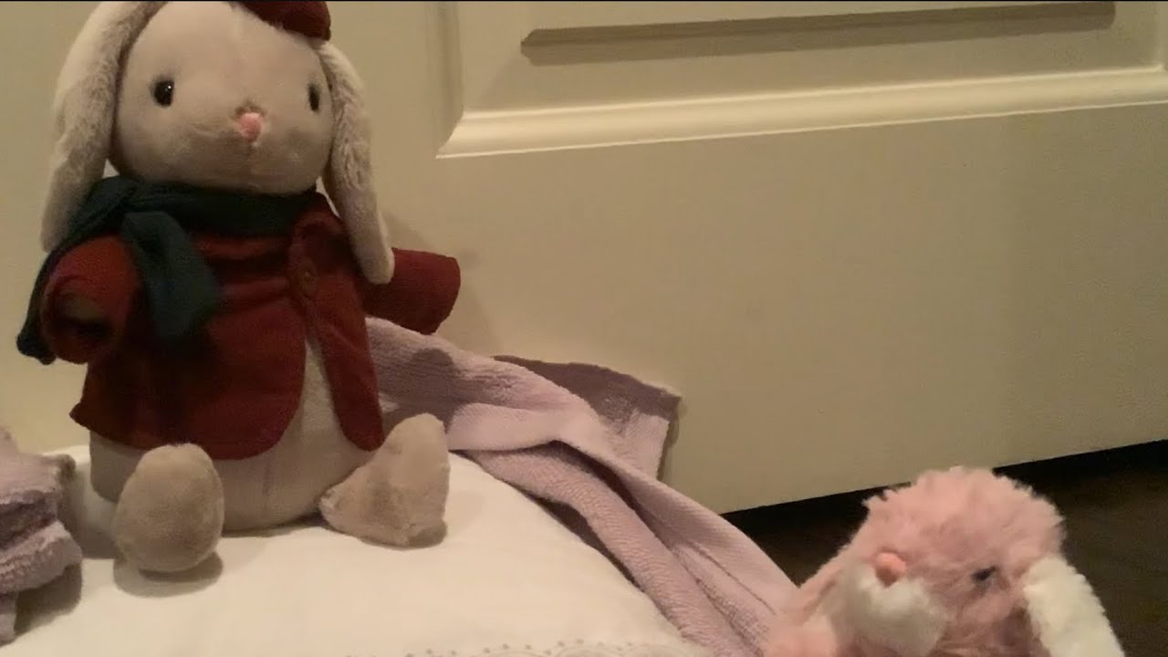 DON’T TRY THIS AT 3A.M PART THREE: AND INTERVIEW WITH A SLOTH (2) (This ...