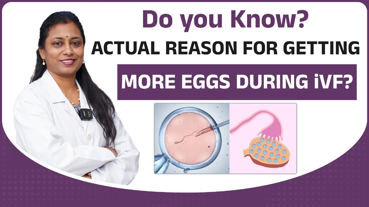 Reasons For More Eggs During IVF || Factors For EGG Dependency || Dr ...