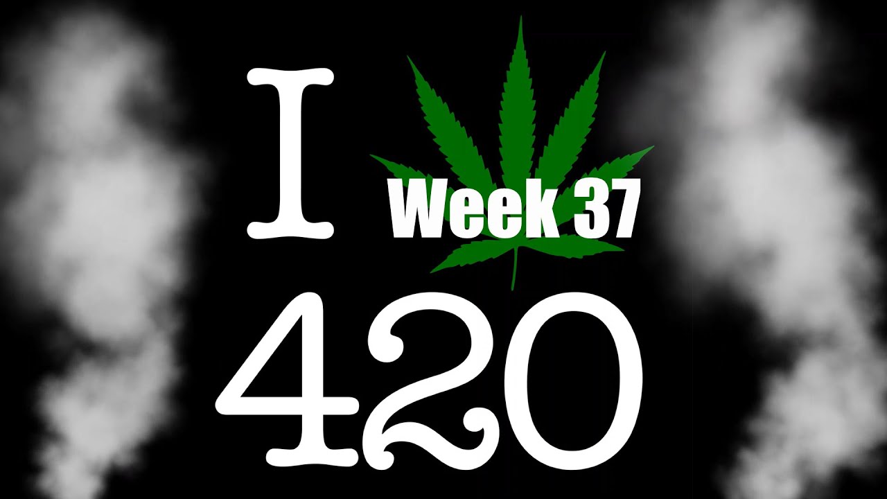 Its Always 420 Somewhere Presents: "High" Lights Week 37 - YouTube