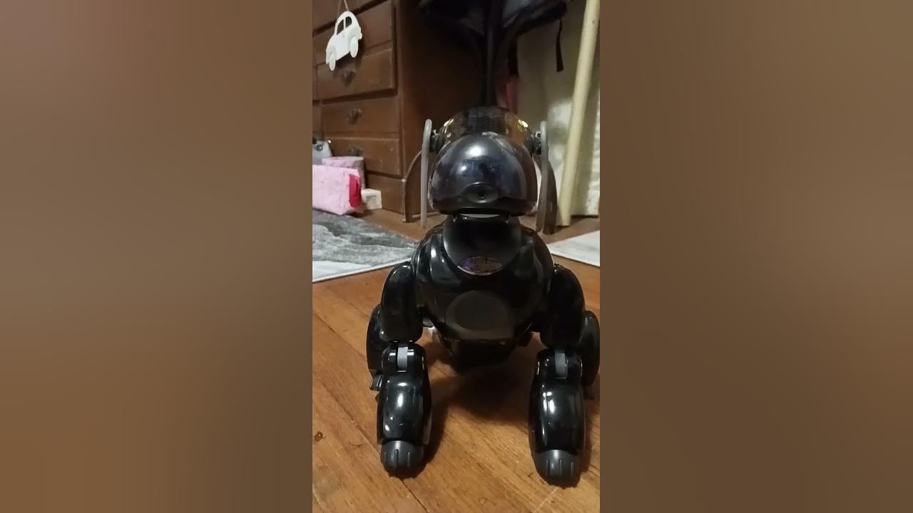 Sony Aibo ERS-7 M3 (Toby) Repair For: Emily (Finished) - YouTube