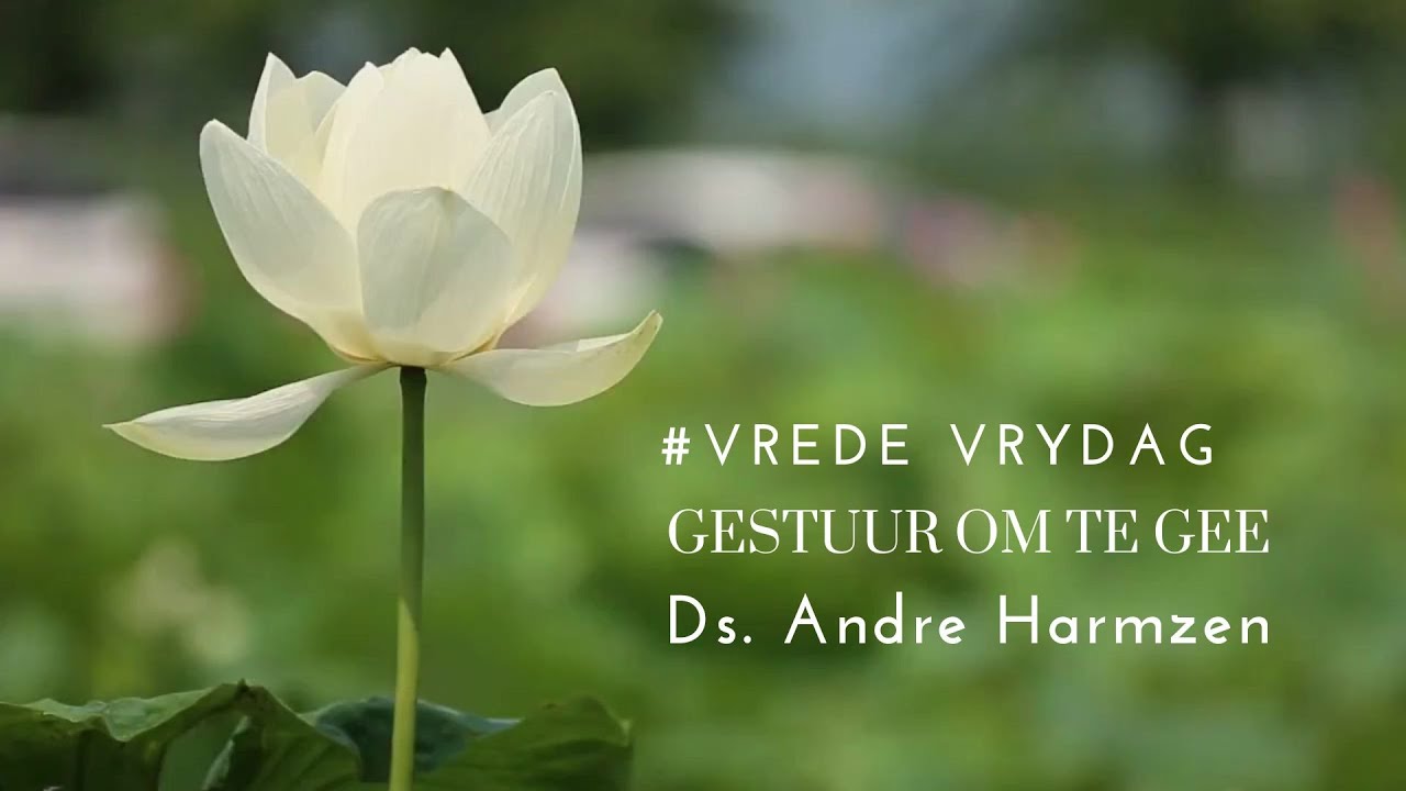 die Kerk | Vrede Vrydag | Gestuur om te gee | Ds Andre Harmzen - YouTube