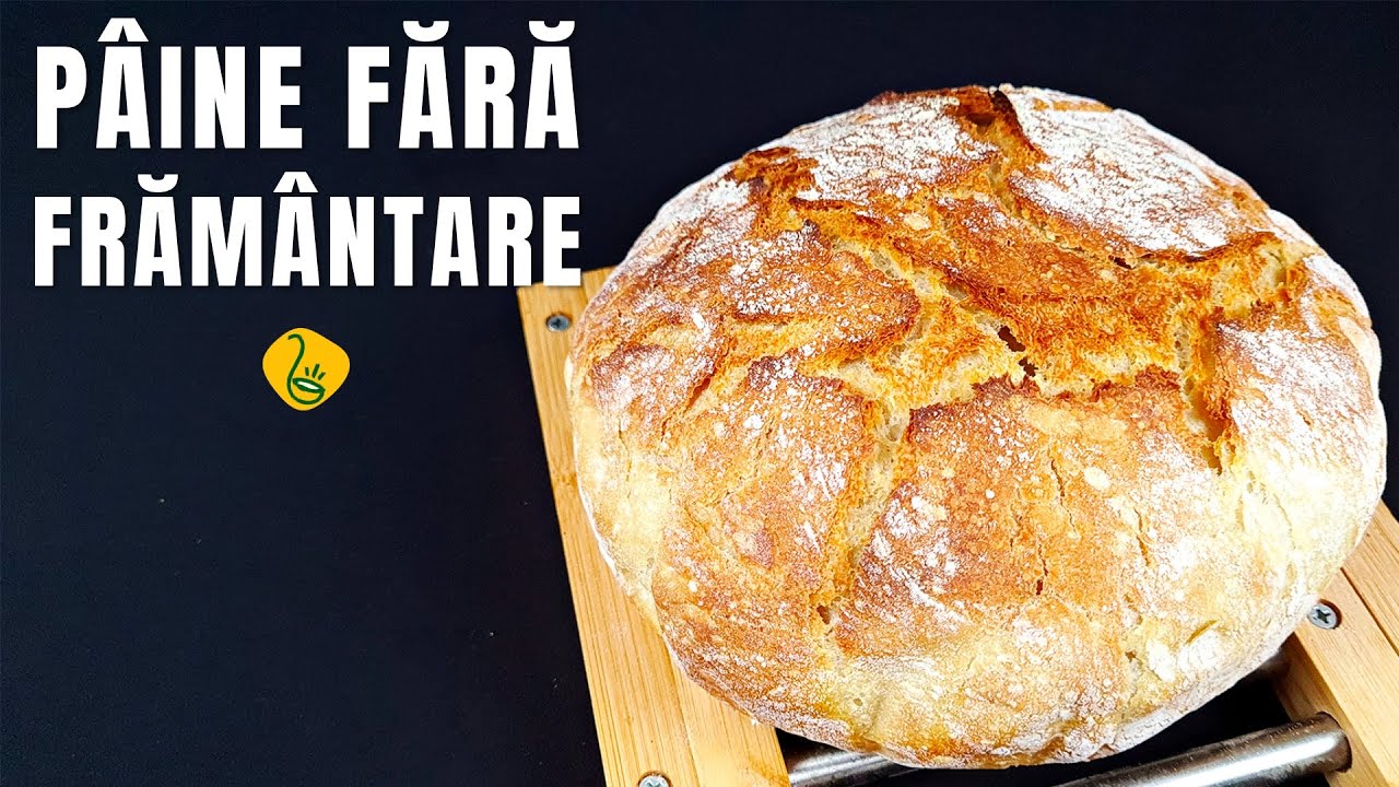 Painea lenesului - paine de casa fara framantare - cea ma ieftina si ...