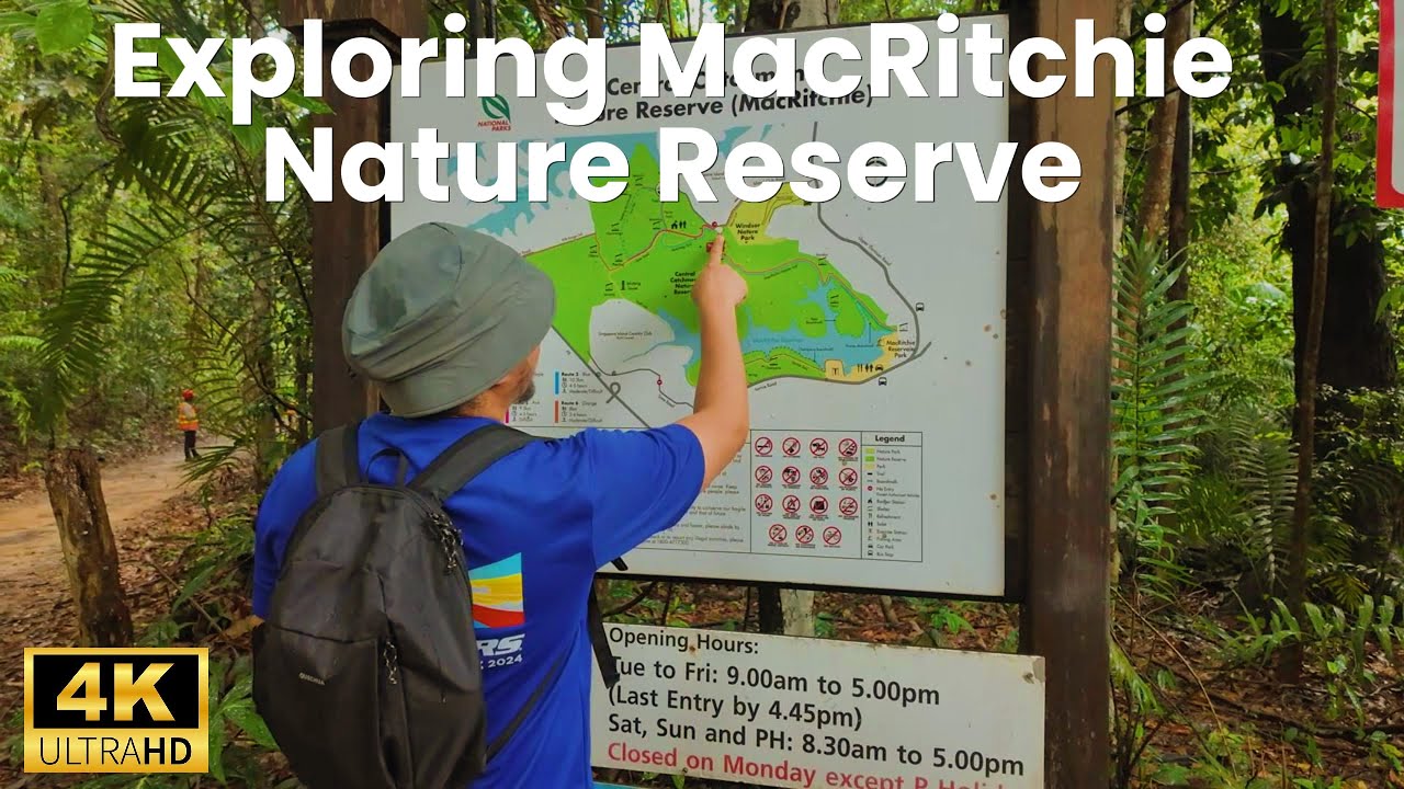Hiking and Nature Walk at MacRitchie Reservoir Park - YouTube