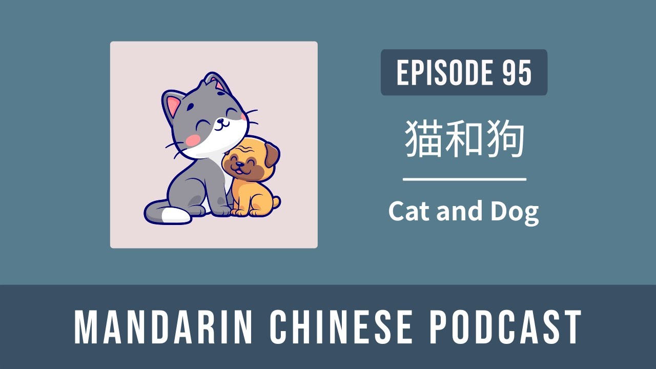 95. 猫和狗 Cat and Dog - Mandarin Chinese Podcast [Newcomer - HSK 1/2 ...