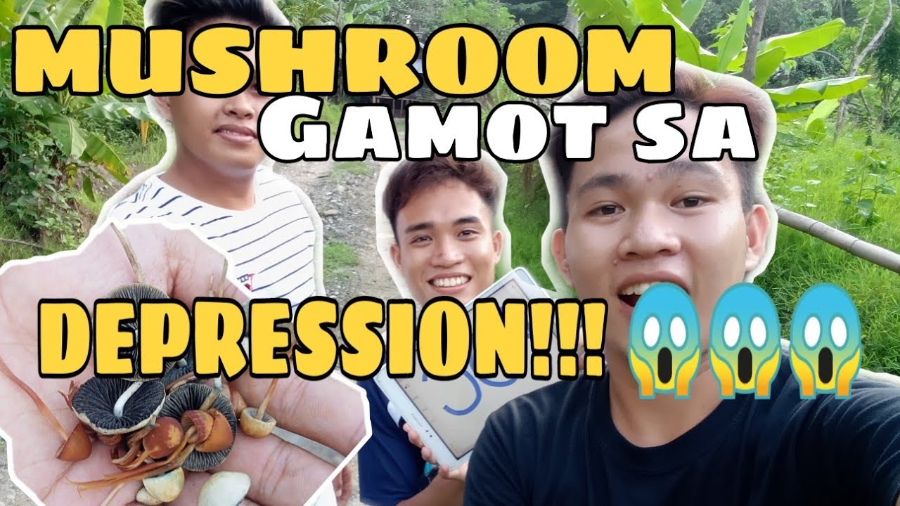 MUSHROOM gamot sa Depression 😱😱😱 | Jefferson Garingalao | Myver Capindo ...