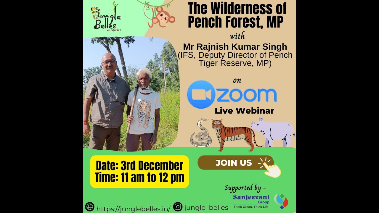 The Wilderness of Pench Forest, MP with Mr Rajnish Kumar Singh - YouTube