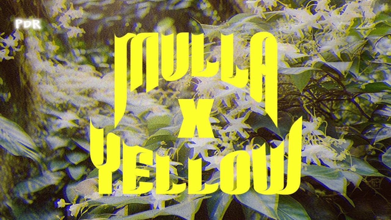 Mulla x Yellow | Full Music Mashup | Original By @illegal.mashups - YouTube