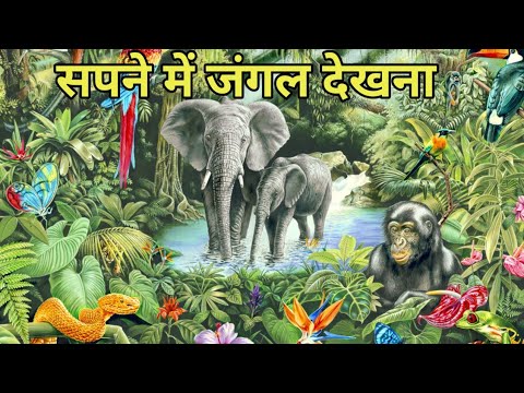सपने में जंगल देखना।।विभिन्न अवस्थाएँ ।। sapne me jangale dekhna. Dream ...