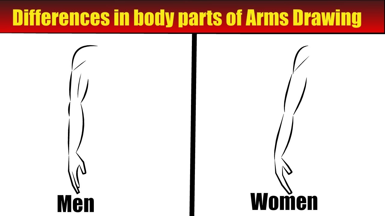 how to draw arms female & male || how to draw arms anatomy || anime ...