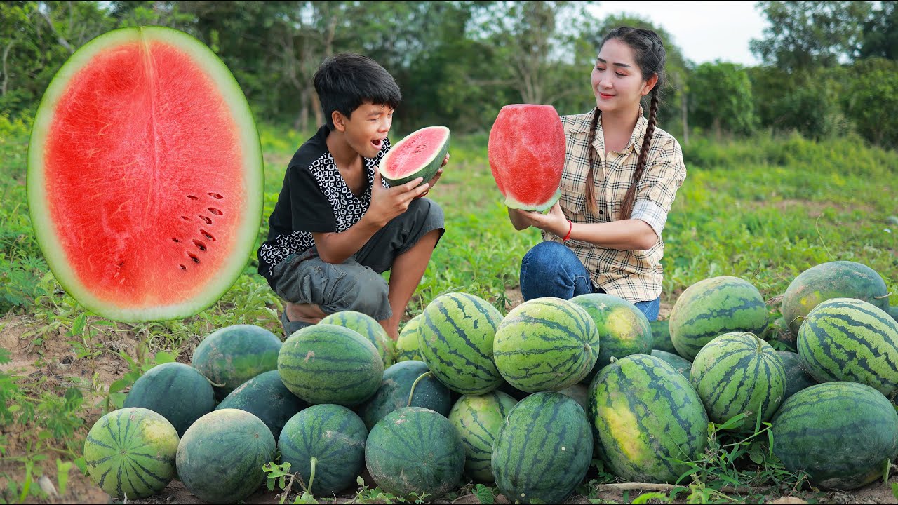 Extreme sweet water melon | How to eat water melon husk | Brother come to visit me and enjoy ...