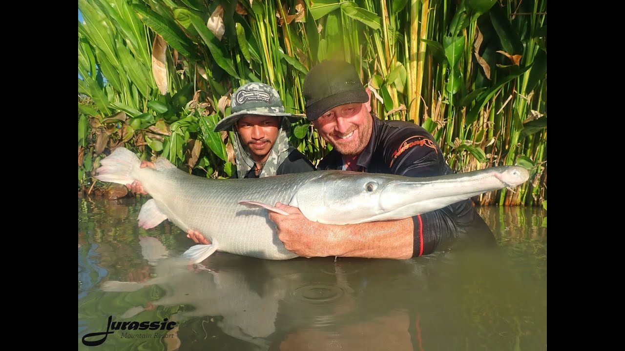 JURASSIC MOUNTAIN FISHING RESORT. Day 1 action. March 2021. Arapaima ...