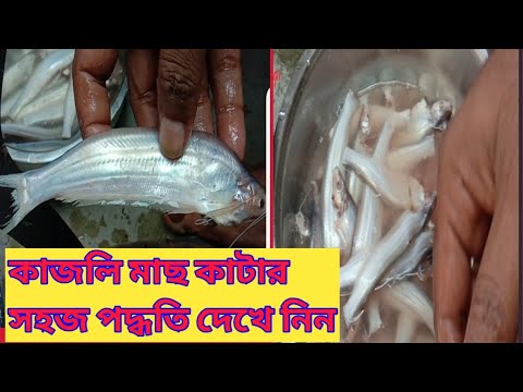 How to cut kajoli fish at home/ kajoli fish cutting - YouTube