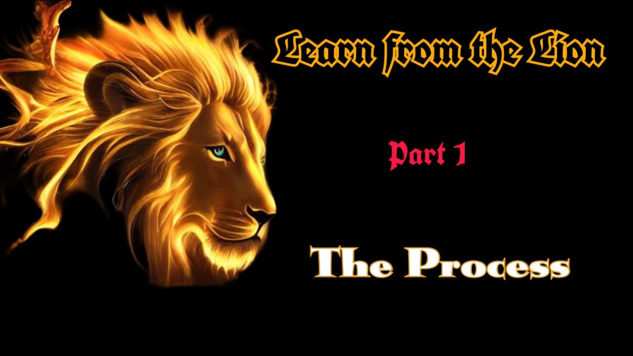 Learn from the Lion. Part 1 - Passion on the Process - YouTube