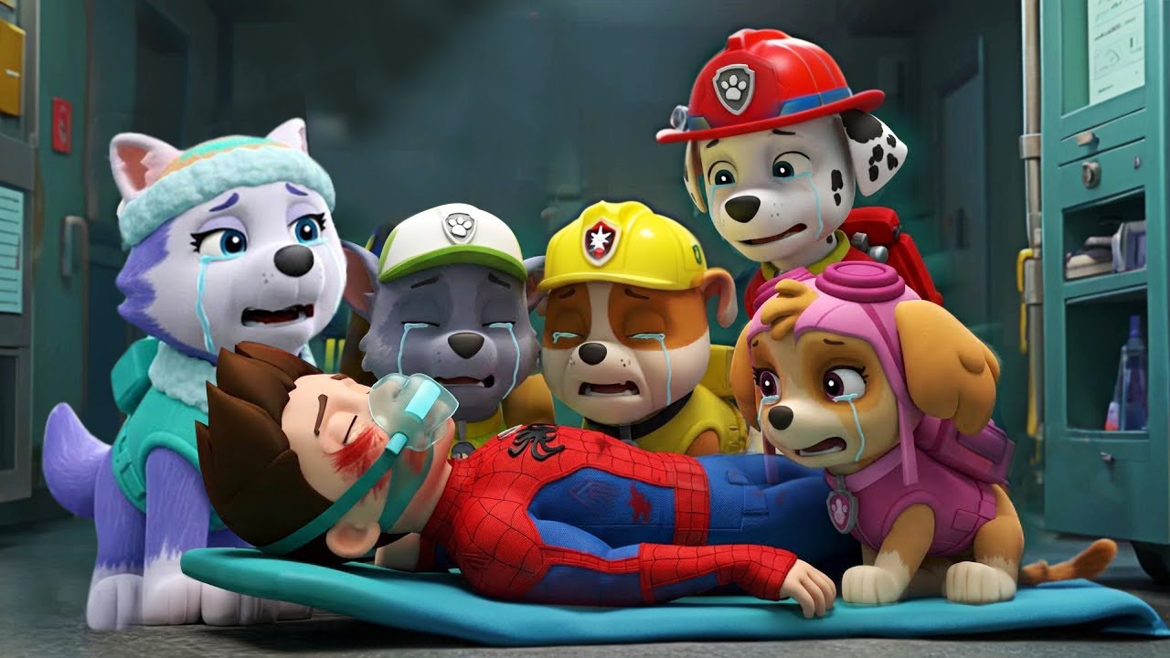 Goodbye Paw Patrol! R.I.P Ryder-Spider | Please Wake Up! - So Sad Story ...