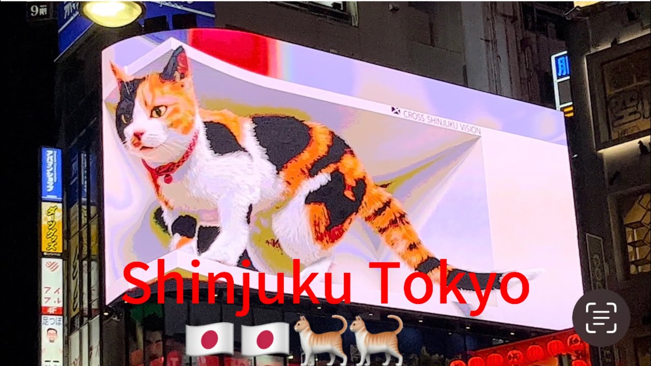3D billboard cat 🐈 of of Tokyo 🇯🇵🇯🇵 - YouTube