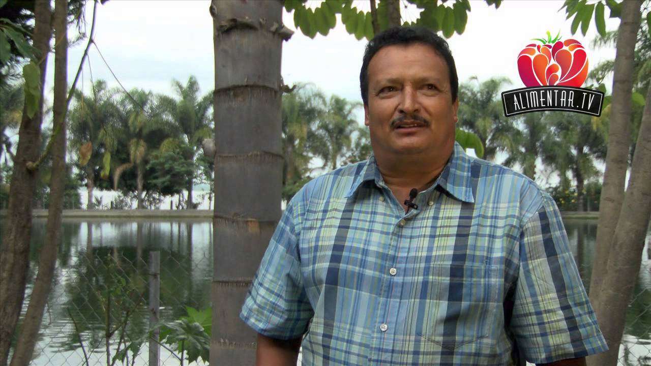 GRANJA ACUICOLA DON MARTIN MAGAÑA - YouTube