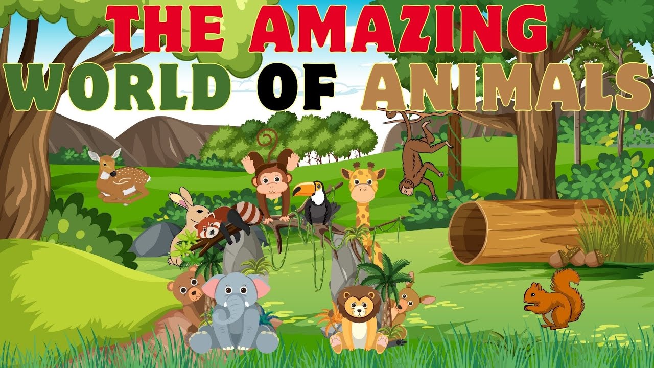 The Amazing World Of Animals With WackyWonderKids Animated Cartoons ...