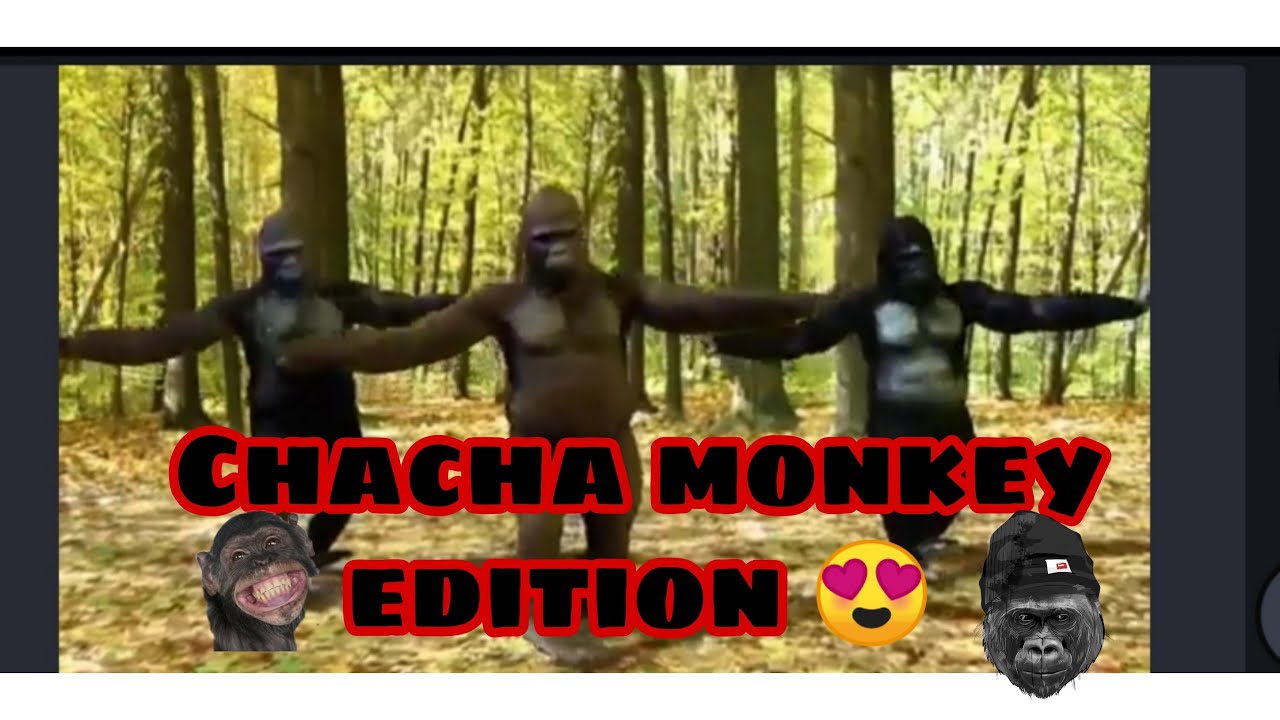 Chacha Monkey Edition 🙊 🙊 - YouTube