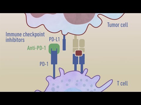 JAX Humanized Mice PubCast: Mast cells & Anti-PD-1 Therapy (Apr. 3, 2024)