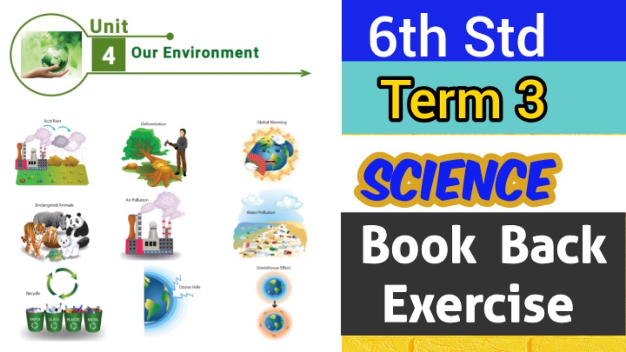 6th Std - Term 3 | Science - Unit 4 | Our Environment - Book Back ...