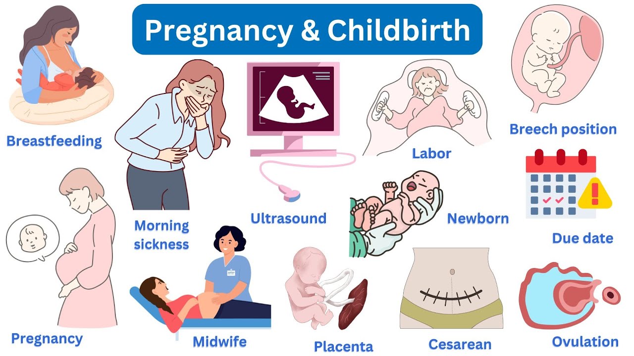English Vocabulary for Pregnancy and Childbirth | Part 1 - YouTube
