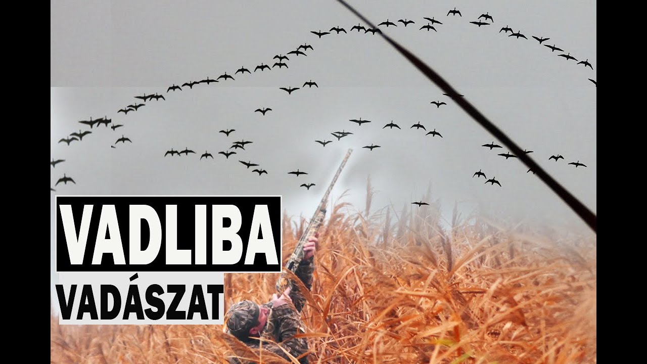 Vadliba vadászat 1.rész - YouTube