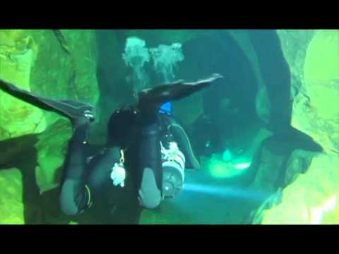 France Cave Diving, Lot & Ardeche, 2014 - YouTube