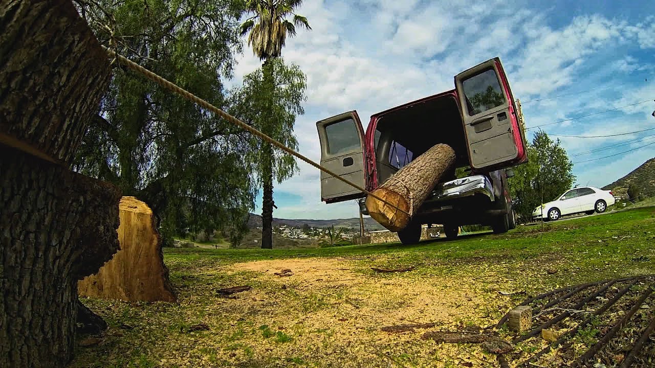 400lb. Log Removal - YouTube