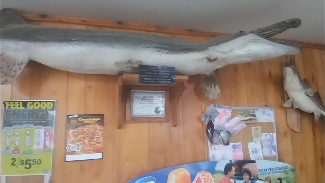 Browder's Marina and RV park fishing resort tour next to Lake ...