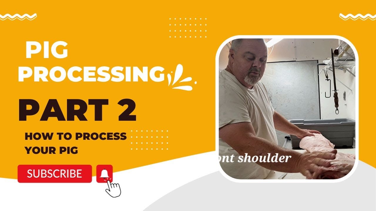 Pig Processing How to Butcher your Hog part 2 - YouTube