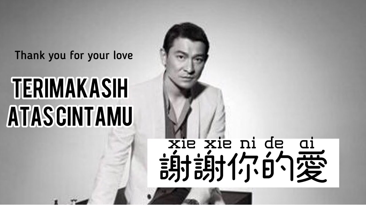 謝謝你的愛 - Xie Xie Ni De Ai - Andy Lau - 劉德華 - Lagu Mandarin Subtitle Indonesia Terjemahan Pinyin ...
