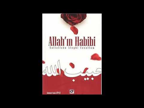 Allah'ın Habibi - Sesli Kitap - 20 - 2026 - Peygamber Sevdalıları Platformu - 3. ve 4. Kategori