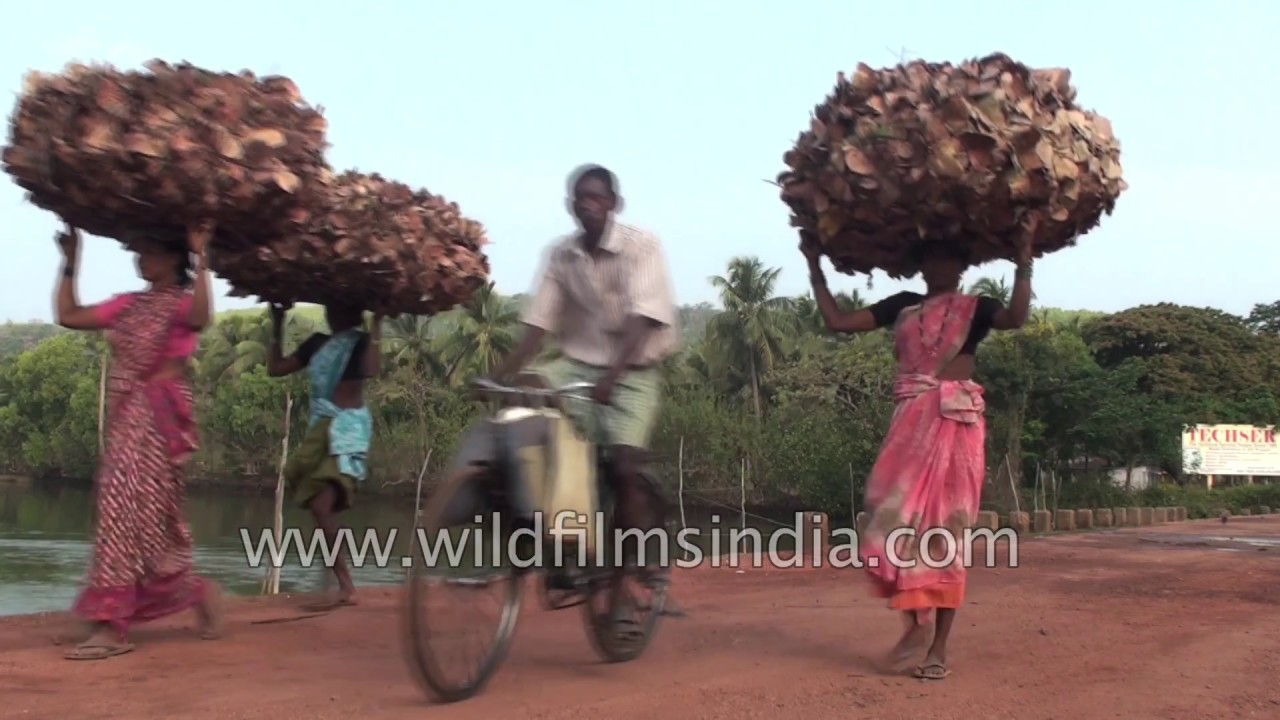 Siddhi tribal village in Karnataka : people of Africa origin - YouTube
