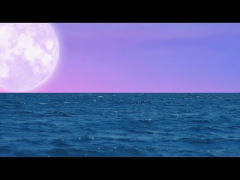 Peaceful Night | Moonlight | Ocean Waves | Soft Music #sleep #relaxing ...