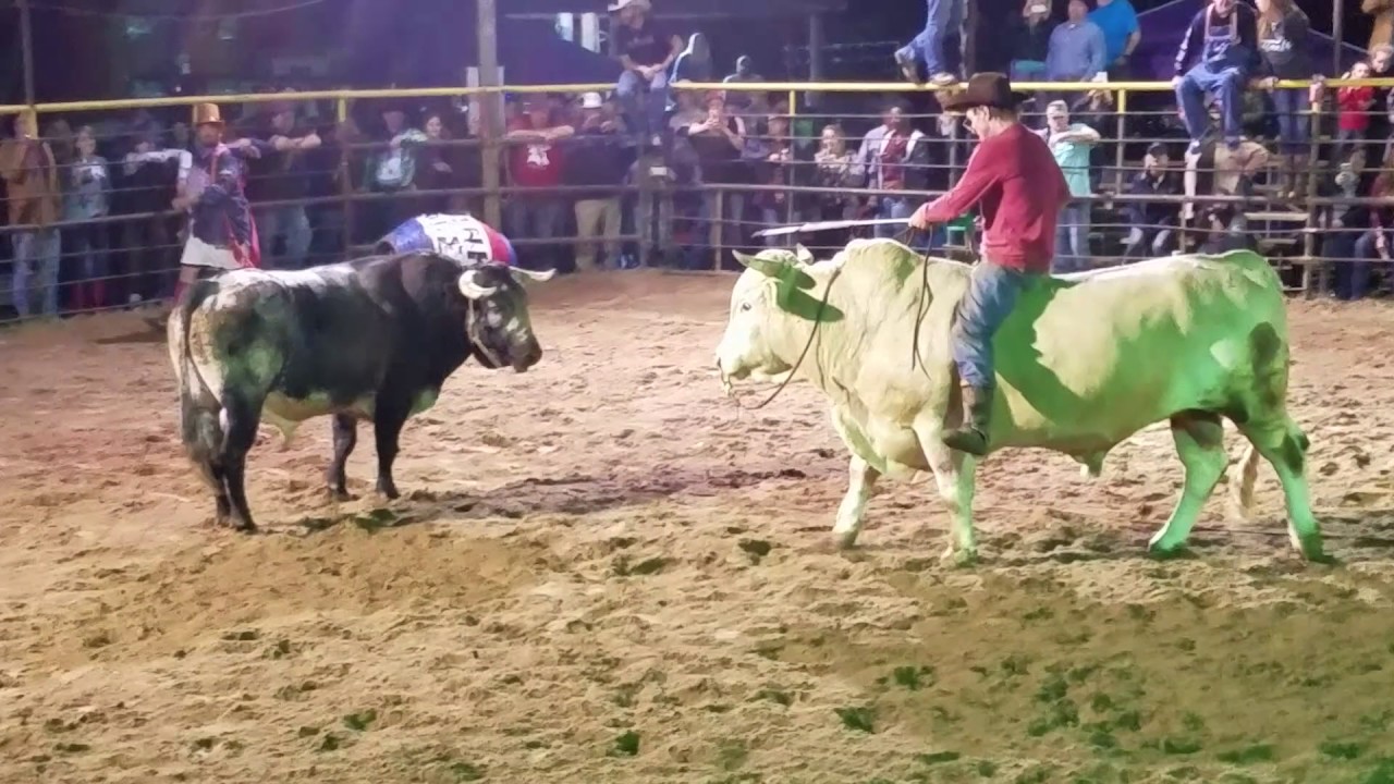 Backyard Bull Riders Show Blows Me Away - YouTube