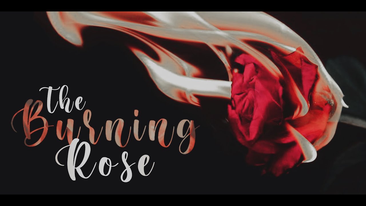 The Burning Rose | Wattpad Trailer - YouTube
