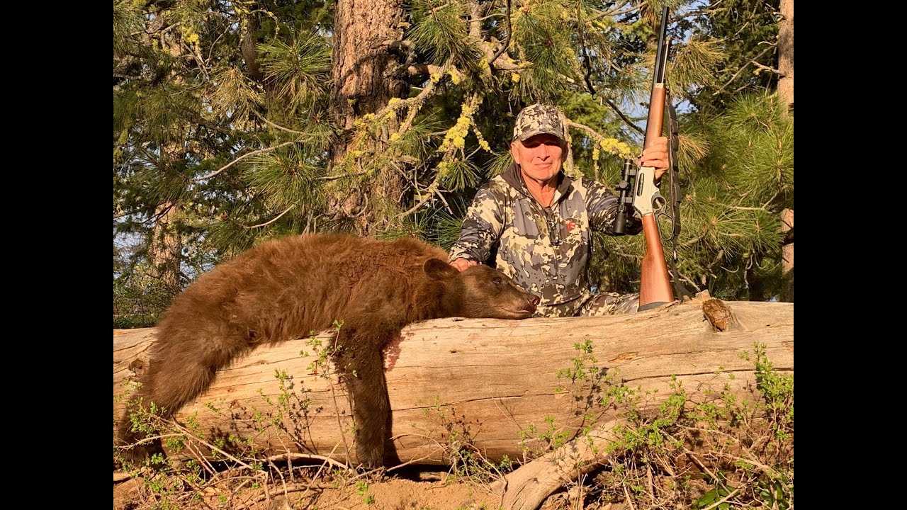 Bear Hunt Dave Neal - YouTube