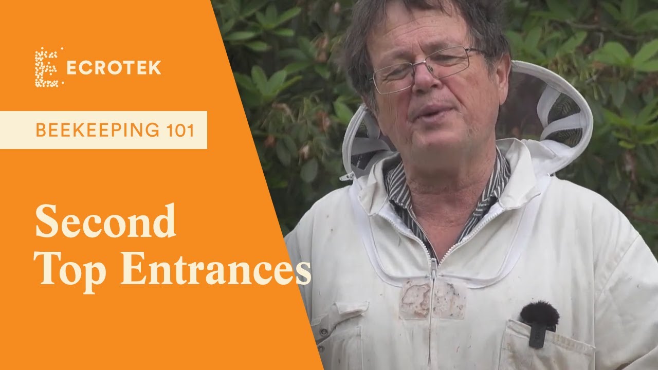 Beekeeping 101: Second Top Entrances on Bee Hives - Dr Mark Goodwin ...
