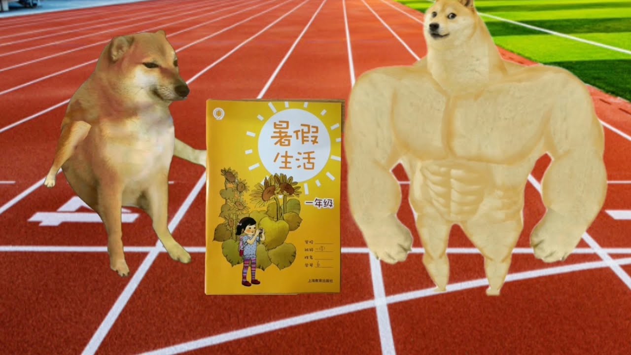 奖励一本假期作业！#cheems #funny #money #award - YouTube