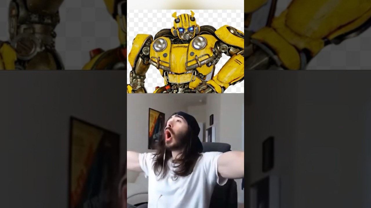 Ranking different bumblebee designs - YouTube