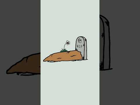 love you all best friend's 😢😞