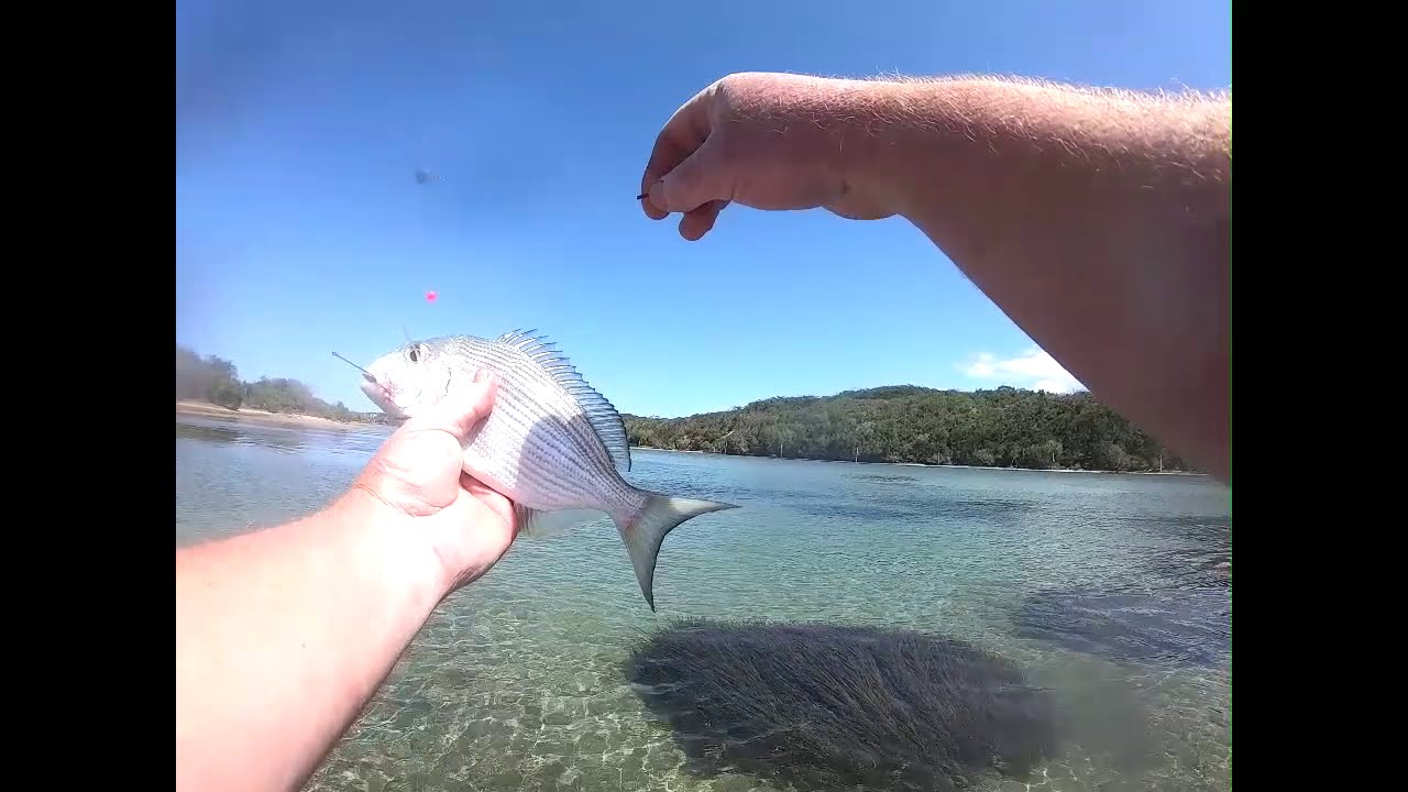 bait fishing wooli river - YouTube