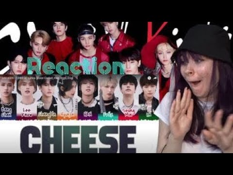 STRAY KIDS THUNDEROUS REACTION (CHEESE, DOMINO, THE VIEW, RED LIGHTS)/AND MORE/PRT1
