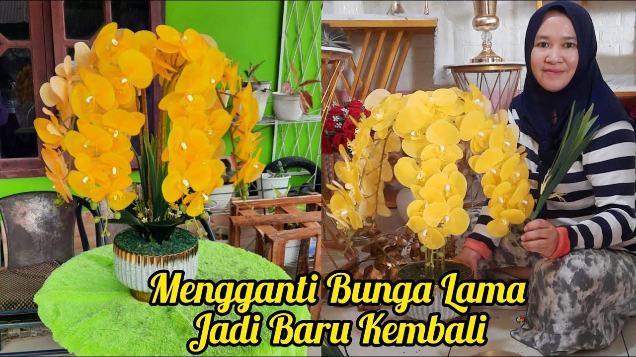 MENGGANTI BUNGA LAMA JADI BARU KEMBALI BY FITRIYANI DAFFA - YouTube