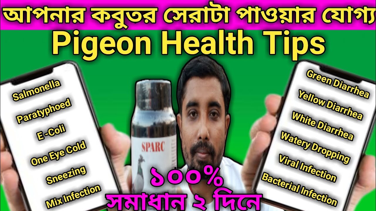Pigeon Health Tips.Green Diarrhea Treatment 100% Effective. - YouTube