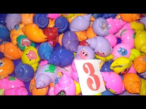 HUNTING SNAIL! mencari kura kura, kelomang, bekicot, kerang, siput ...