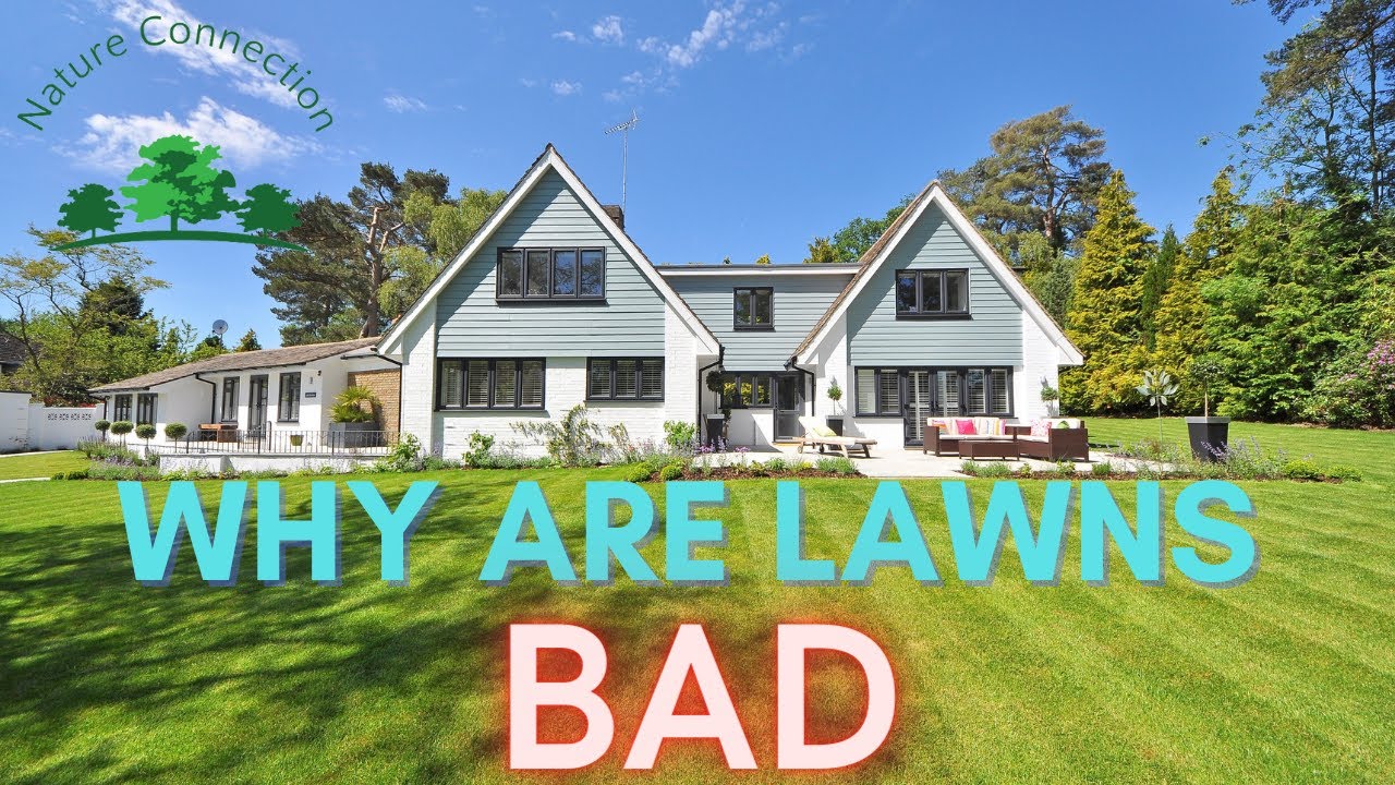 The Hidden Environmental Impact of Lawns: Unveiling the Truth | Nature ...